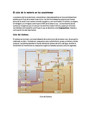 El Ciclo de La Materia en Los Ecosistemas