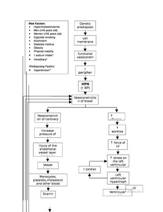 Pathophysiology Diagram of Congestive Heart Failure