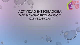 Actividad integradora Fase 2: Diagnóstico. Causas y consecuencias