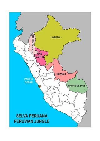 Mapa de La Selva Peruana
