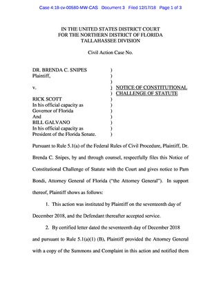 Brenda Snipes v. Rick Scott - Notice of Constitutional Challenge of Statute